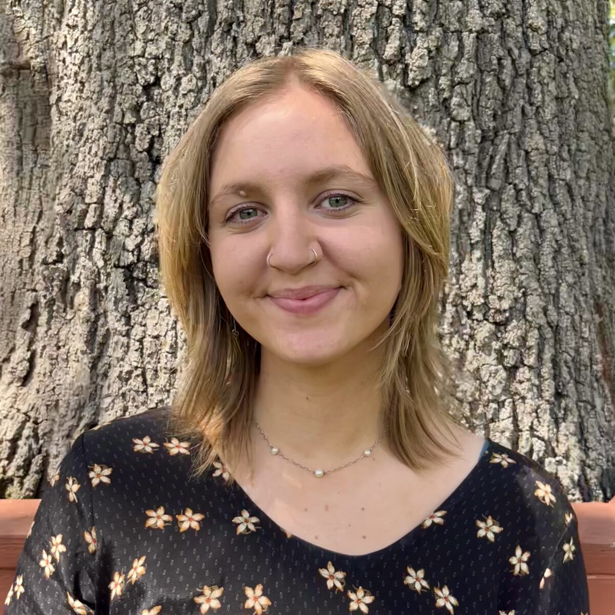 Home – Women's Forest Congress